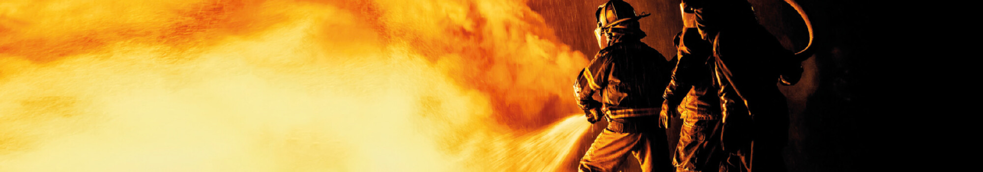 Fire Protect | Sealing and Bonding | Bostik India