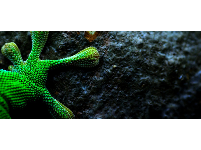 Bostik announces price increases | News | Bostik | Bostik New Zealand