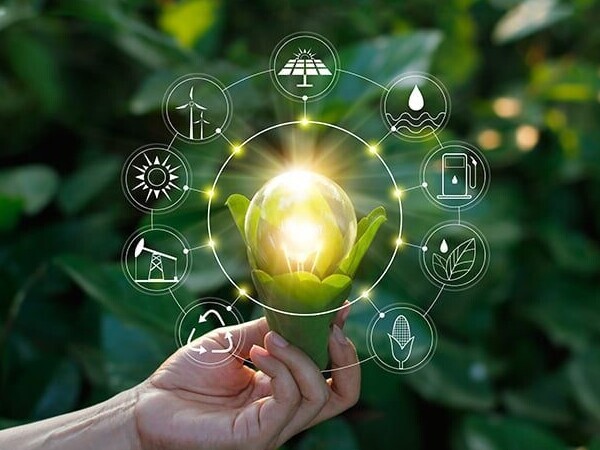 5 Types of Sustainable Adhesives You Should Know About | Bostik US